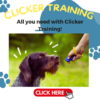 Clicker Dog Training - Dog Training Geek