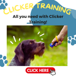 Clicker Dog Training - Dog Training Geek