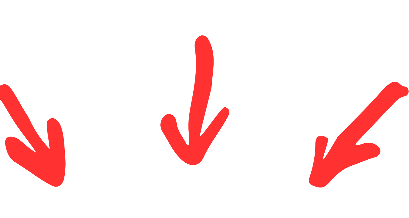 Beta Dog Behavior - Dog Training Geek